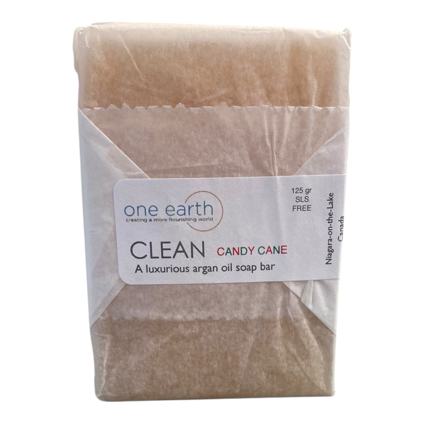 One Earth- Creating a More Flourishing World – One Earth