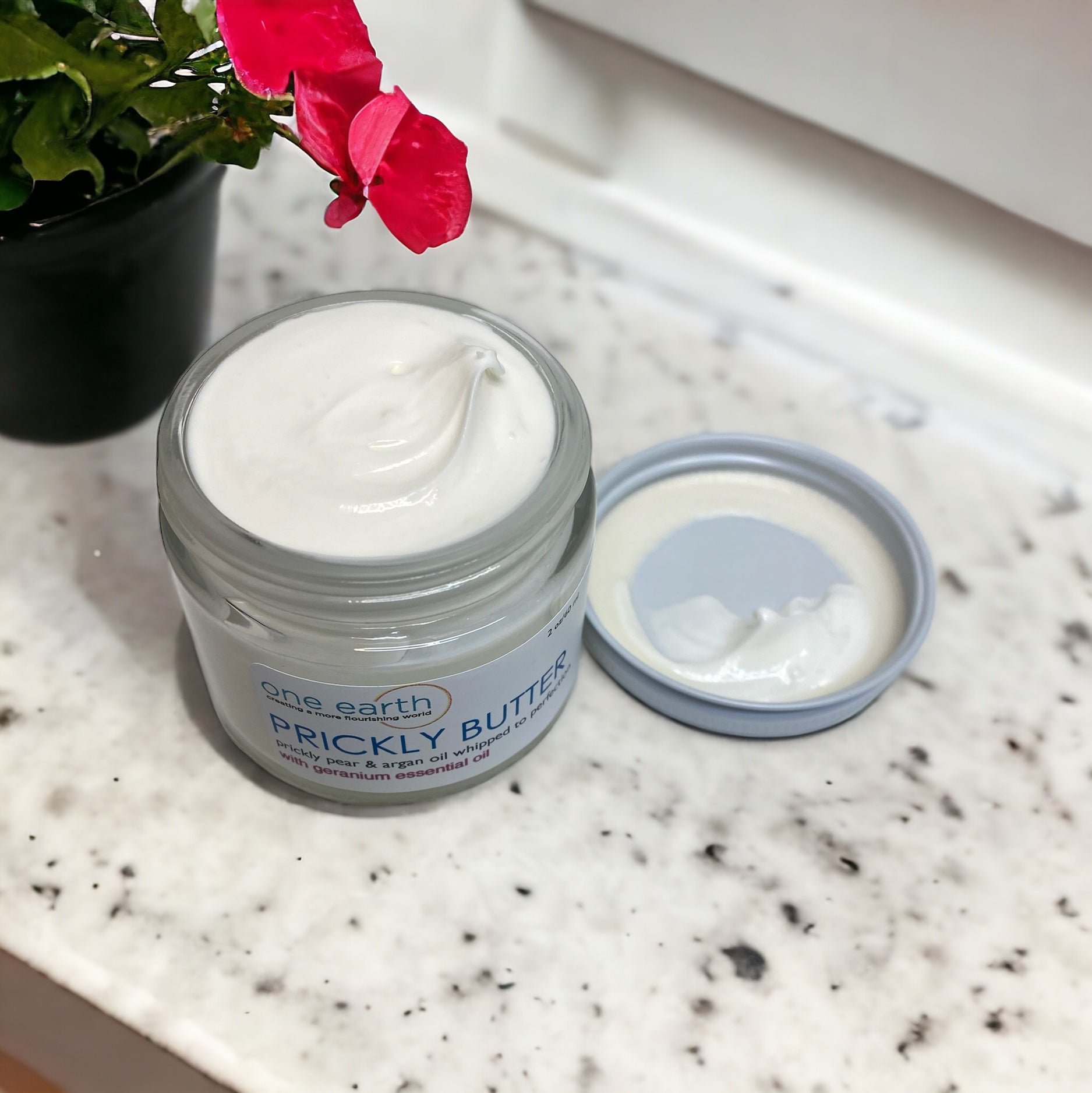 One Earth- Creating a More Flourishing World – One Earth